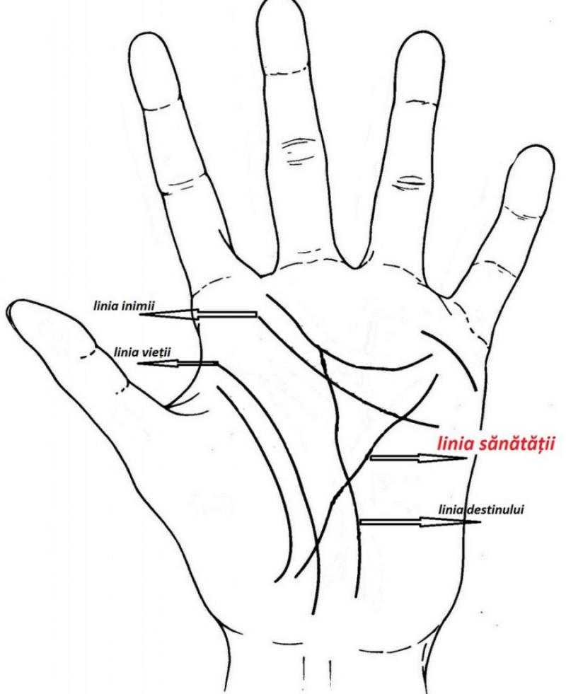 Uită-te bine! Ai şi tu linia asta în palmă? Află ce spune despre ...