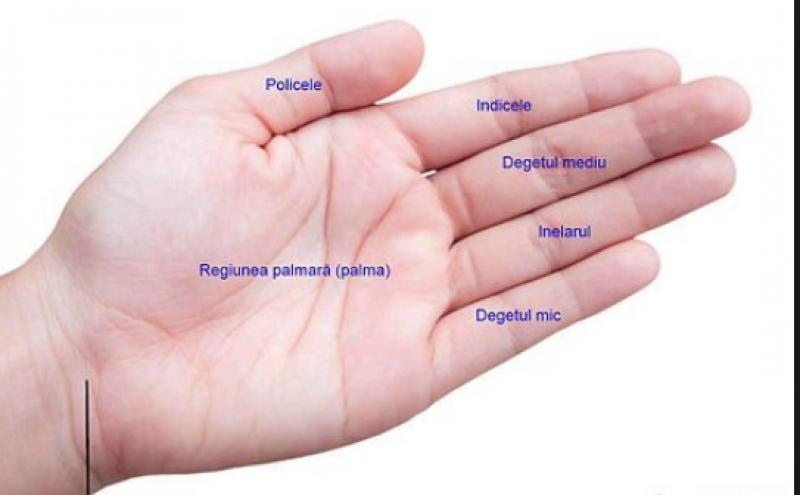 Te dor degetele de la mâini? Iată de ce boli poţi să suferi