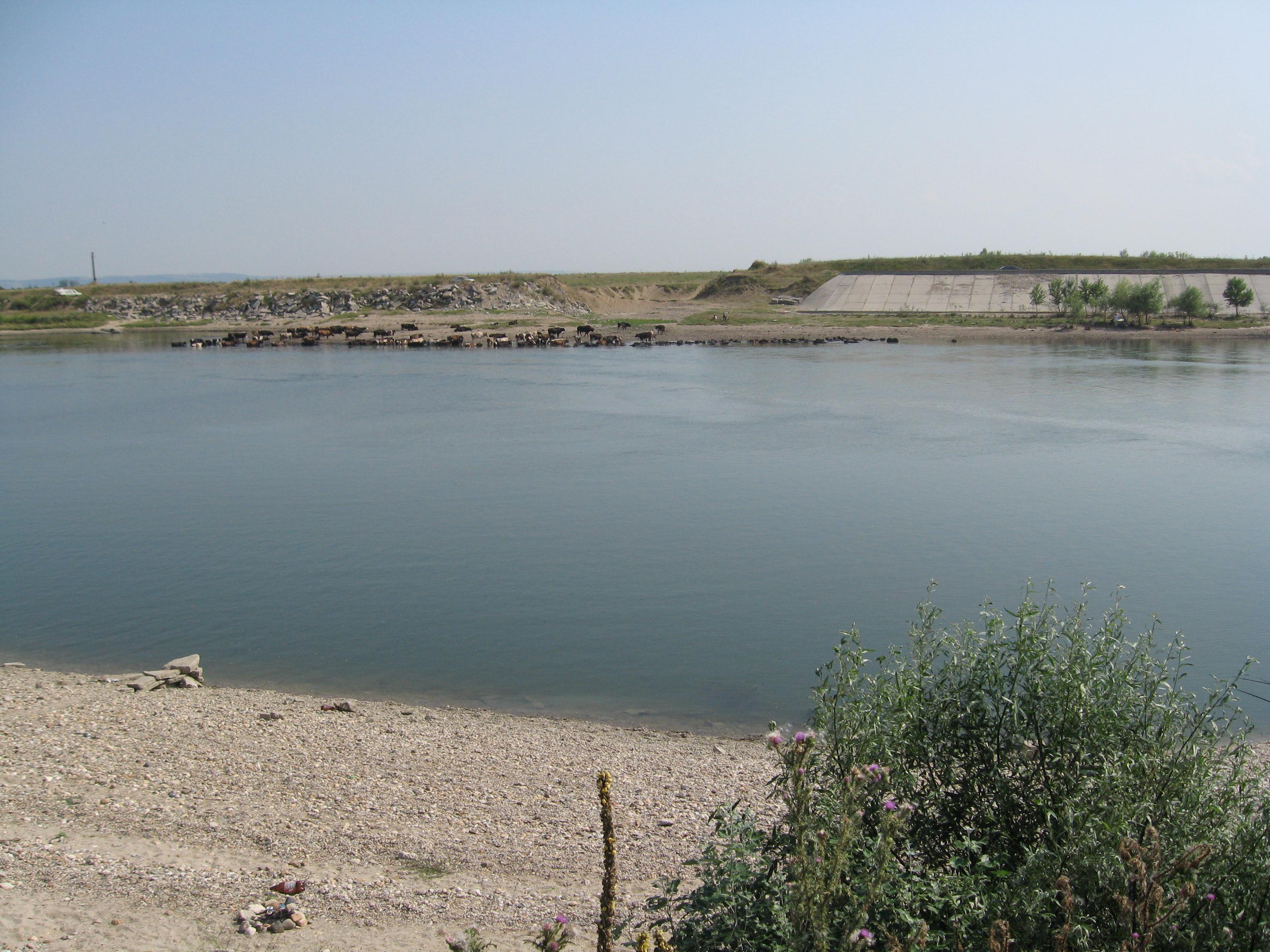 Descoperire fără precedent în România! Ce a apărut în urmă cu câteva ...