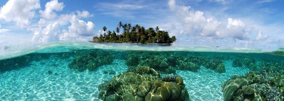 PINGELAP. În cel mai frumos loc colorat din lume, locuitorii văd în alb ...